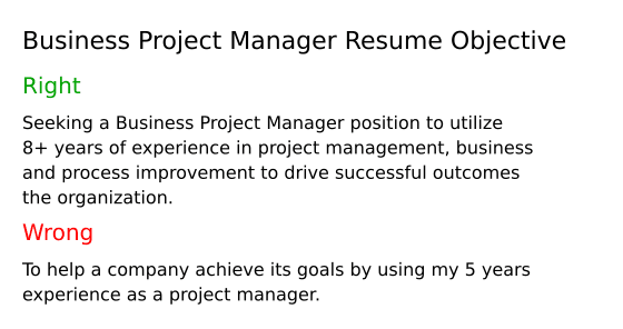 Top 16 Business Project Manager Resume Objective Examples