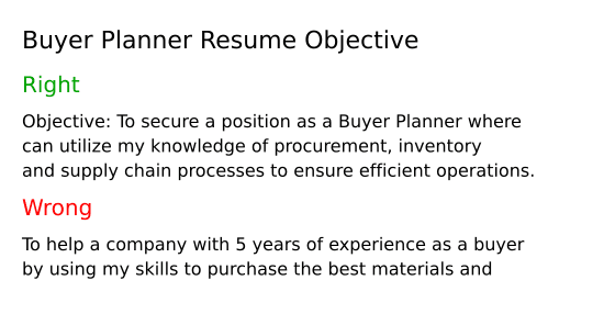 Top 18 Buyer Planner Resume Objective Examples | ResumeCat