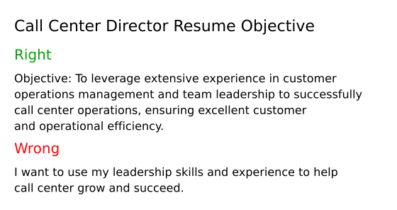 Top 18 Call Center Director Resume Objective Examples