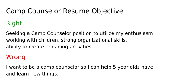 Top 18 Camp Counselor Resume Objective Examples | ResumeCat