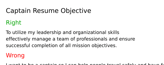 Top 17 Captain Resume Objective Examples | ResumeCat