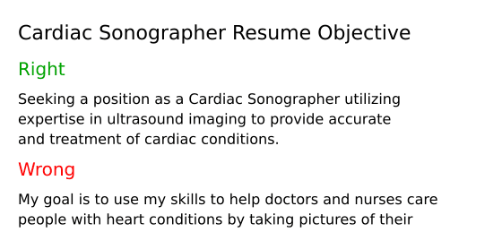 Top 18 Cardiac Sonographer Resume Objective Examples