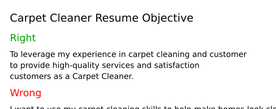Top 16 Carpet Cleaner Resume Objective Examples | ResumeCat