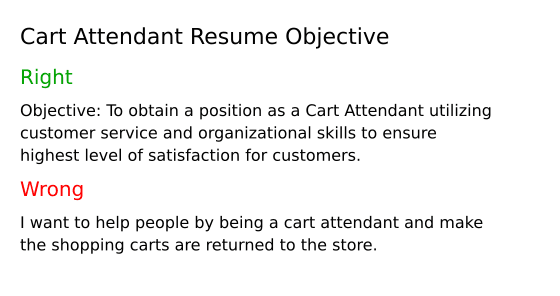 Top 18 Cart Attendant Resume Objective Examples | ResumeCat