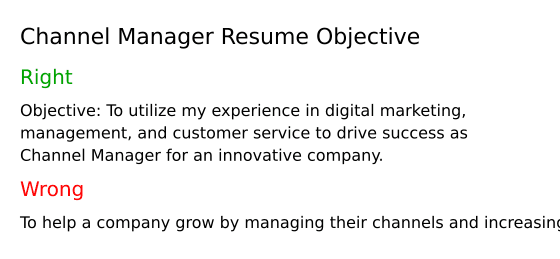 Top 17 Channel Manager Resume Objective Examples | ResumeCat