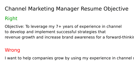 Top 16 Channel Marketing Manager Resume Objective Examples
