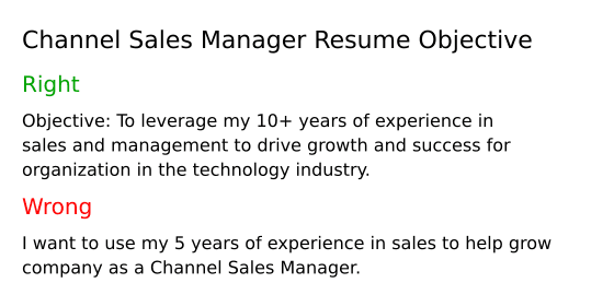 Top 18 Channel Sales Manager Resume Objective Examples
