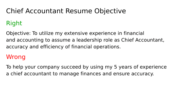Top 18 Chief Accountant Resume Objective Examples