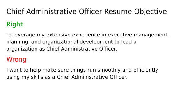 Top 18 Chief Administrative Officer Resume Objective Examples
