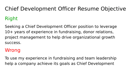 Top 18 Chief Development Officer Resume Objective Examples