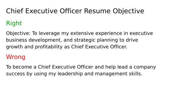 Top 16 Chief Executive Officer Resume Objective Examples