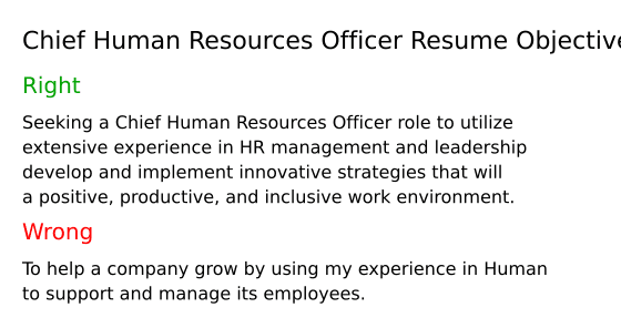 Top 16 Chief Human Resources Officer Resume Objective Examples