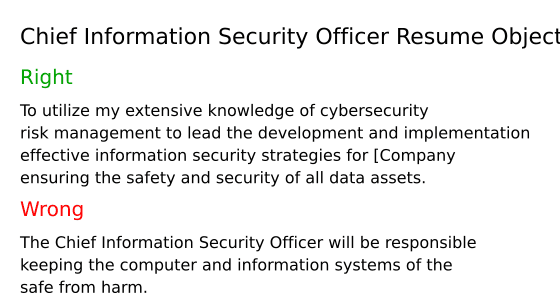 Top 17 Chief Information Security Officer Resume Objective Examples