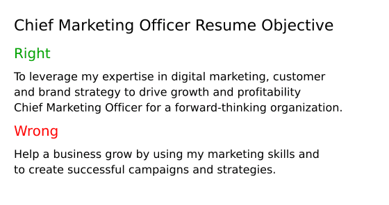 Top 17 Chief Marketing Officer Resume Objective Examples