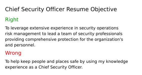 Top 16 Chief Security Officer Resume Objective Examples