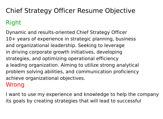 Top 17 Chief Strategy Officer Resume Objective Examples Top 17 Chief Strategy Officer Resume Objective Examples