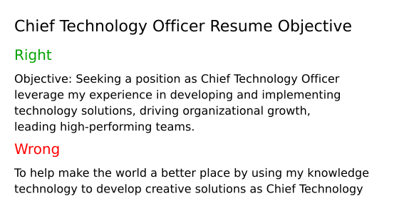 Top 17 Chief Technology Officer Resume Objective Examples