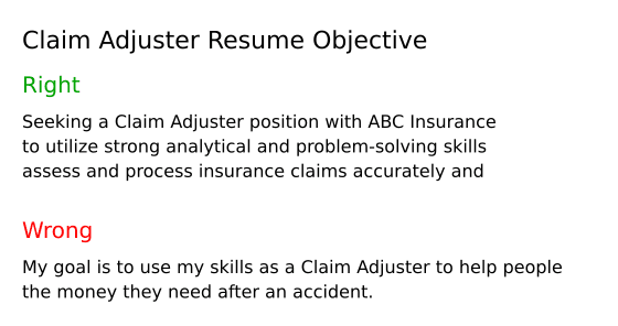 Top 18 Claim Adjuster Resume Objective Examples | ResumeCat