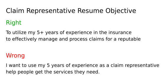 Top 16 Claim Representative Resume Objective Examples