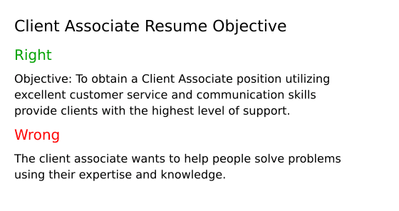 Top 17 Client Associate Resume Objective Examples