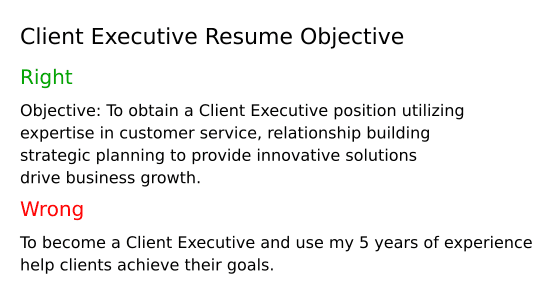 Top 16 Client Executive Resume Objective Examples