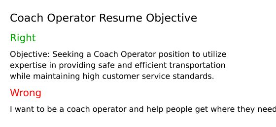 Top 16 Coach Operator Resume Objective Examples | ResumeCat
