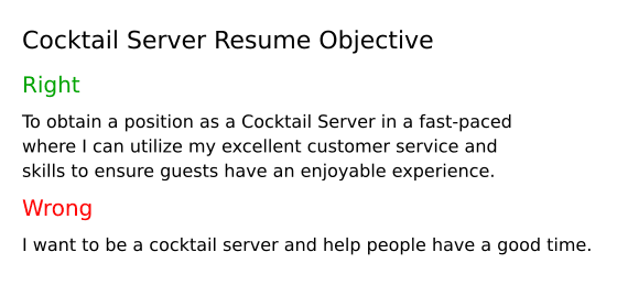 Top 17 Cocktail Server Resume Objective Examples | ResumeCat
