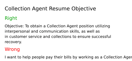 Top 18 Collection Agent Resume Objective Examples