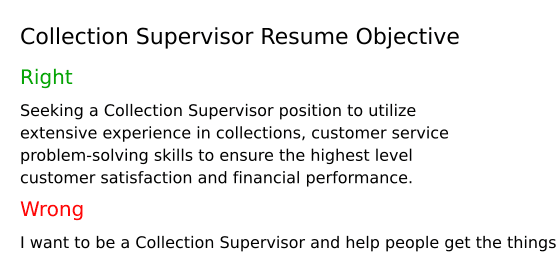Top 16 Collection Supervisor Resume Objective Examples