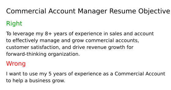 Top 16 Commercial Account Manager Resume Objective Examples