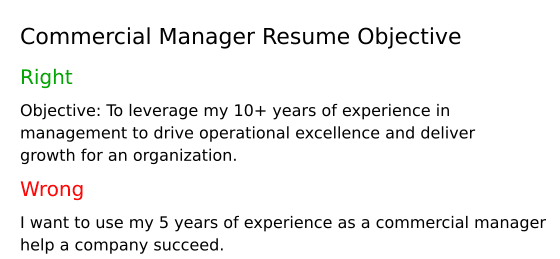 Top 18 Commercial Manager Resume Objective Examples