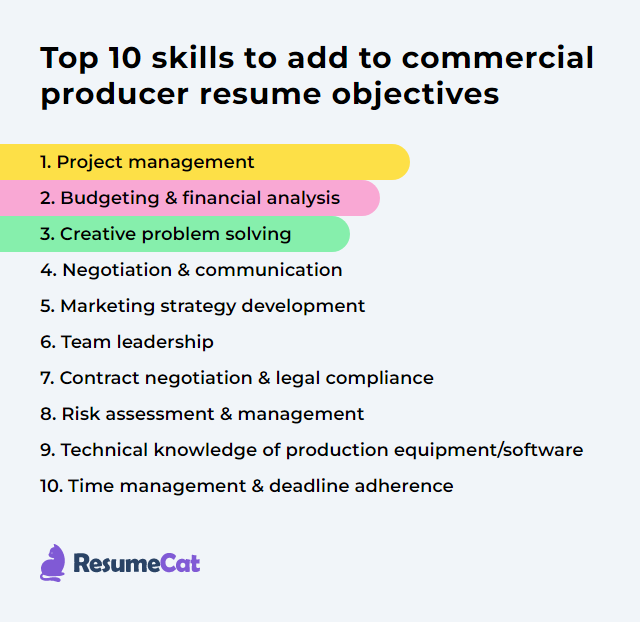 Top 17 Commercial Producer Resume Objective Examples