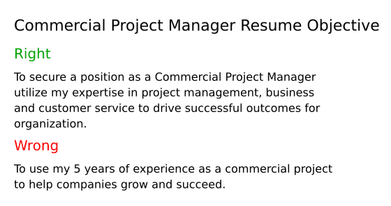 Top 16 Commercial Project Manager Resume Objective Examples