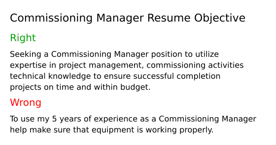 Top 17 Commissioning Manager Resume Objective Examples