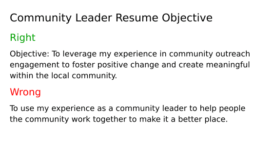 Top 17 Community Leader Resume Objective Examples