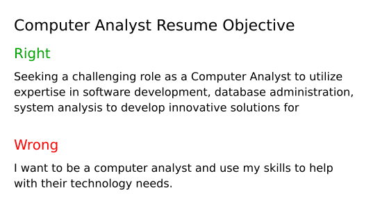 Top 16 Computer Analyst Resume Objective Examples