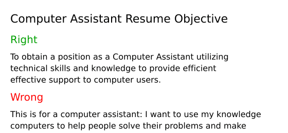 Top 18 Computer Assistant Resume Objective Examples