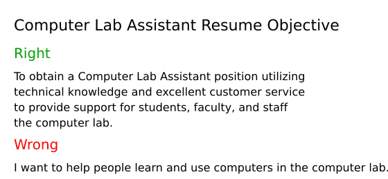 Top 18 Computer Lab Assistant Resume Objective Examples