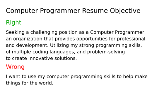 Top 16 Computer Programmer Resume Objective Examples 