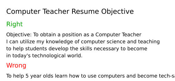 Top 17 Computer Teacher Resume Objective Examples