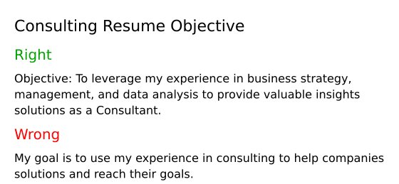 Top 16 Consulting Resume Objective Examples | ResumeCat