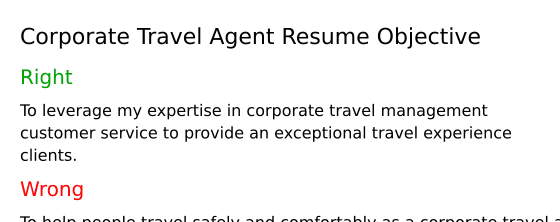 Top 17 Corporate Travel Agent Resume Objective Examples