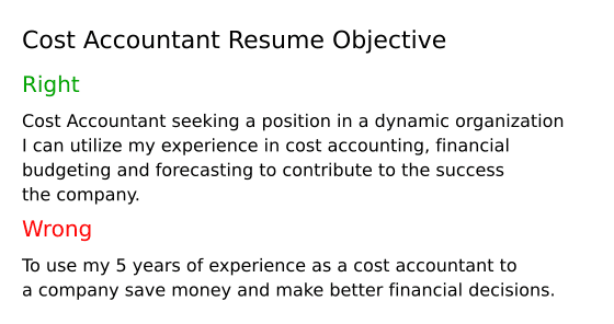 Top 18 Cost Accountant Resume Objective Examples | ResumeCat