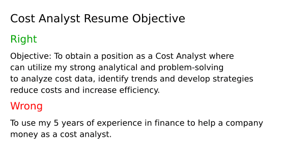 Top 16 Cost Analyst Resume Objective Examples | ResumeCat