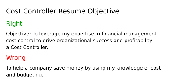 Top 18 Cost Controller Resume Objective Examples | ResumeCat