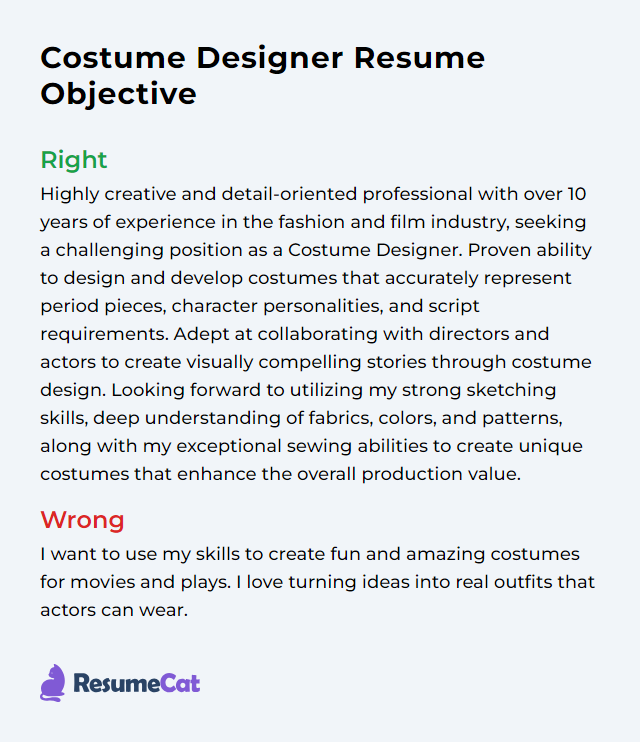 Top 16 Costume Designer Resume Objective Examples