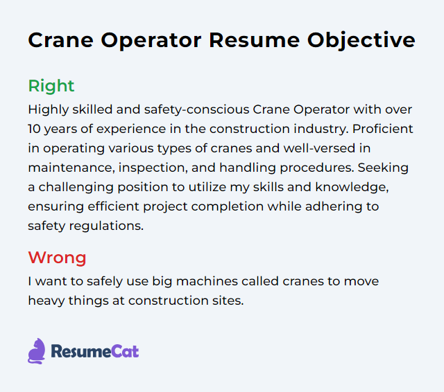 Top 16 Crane Operator Resume Objective Examples ResumeCat