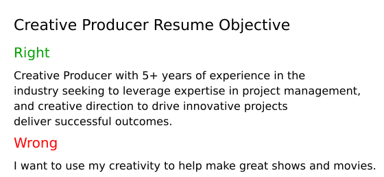 Top 18 Creative Producer Resume Objective Examples