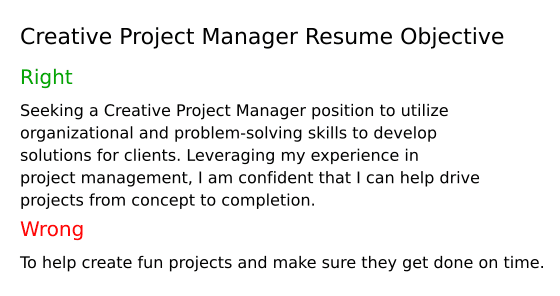 Top 18 Creative Project Manager Resume Objective Examples