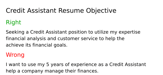 Top 16 Credit Assistant Resume Objective Examples